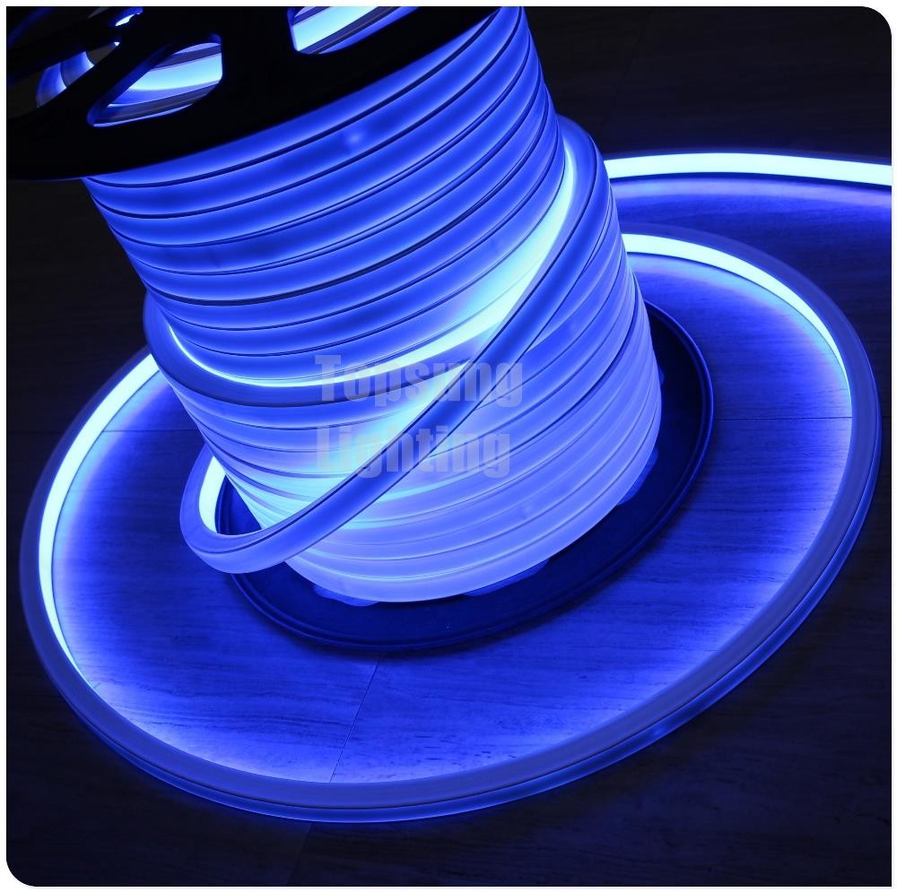 New design square blue 16*16m 220v flexible square led neon flex light